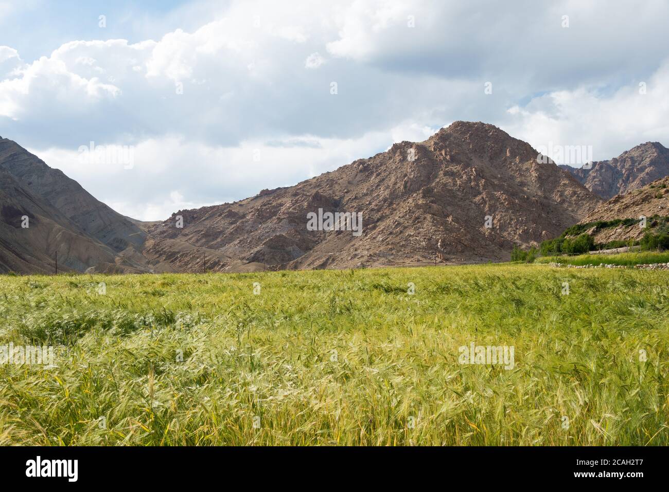 Ladakh, India - Yangtang Village in Sham Valley, Ladakh, Jammu and ...