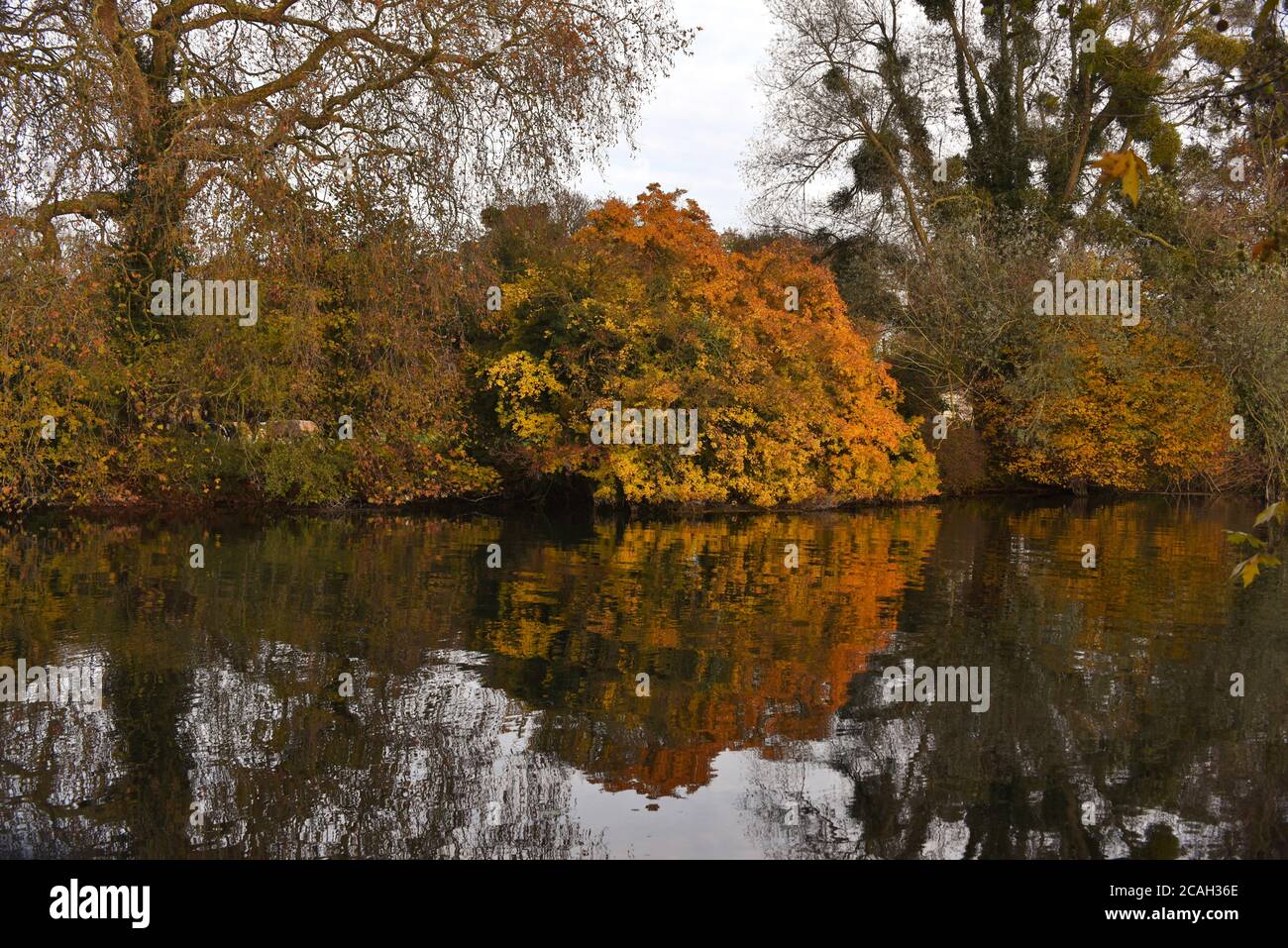 Autumn colours reflected in the water along the River Thames Stock ...