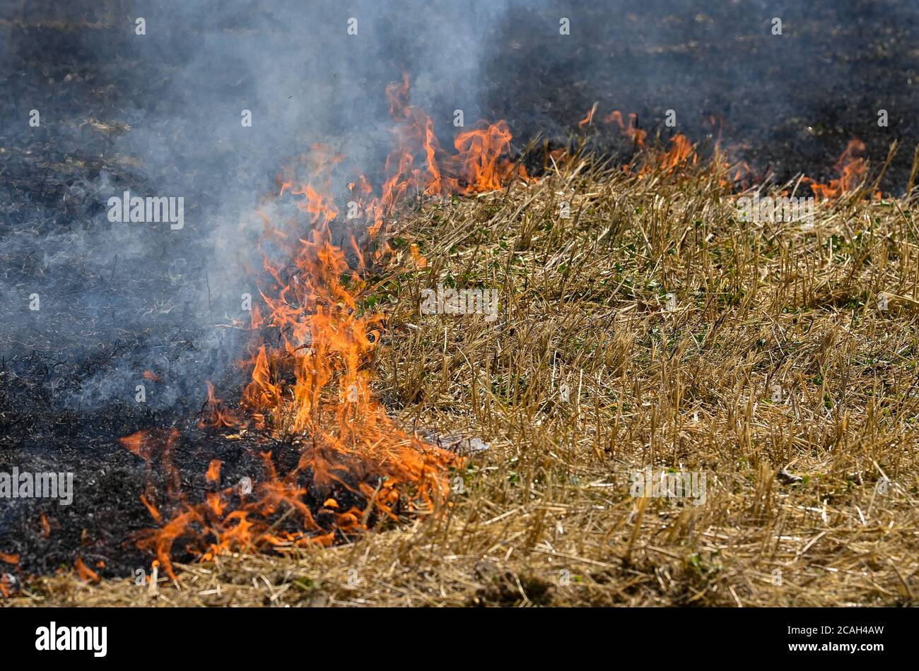 Burned field in area hi-res stock photography and images - Alamy
