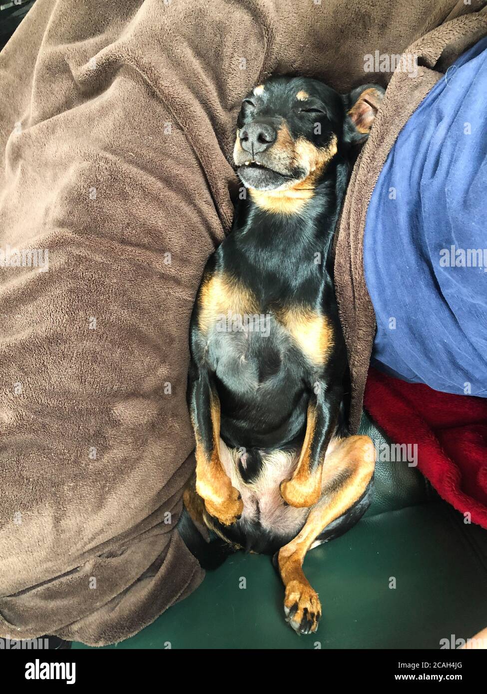 Supine position hi-res stock photography and images - Alamy