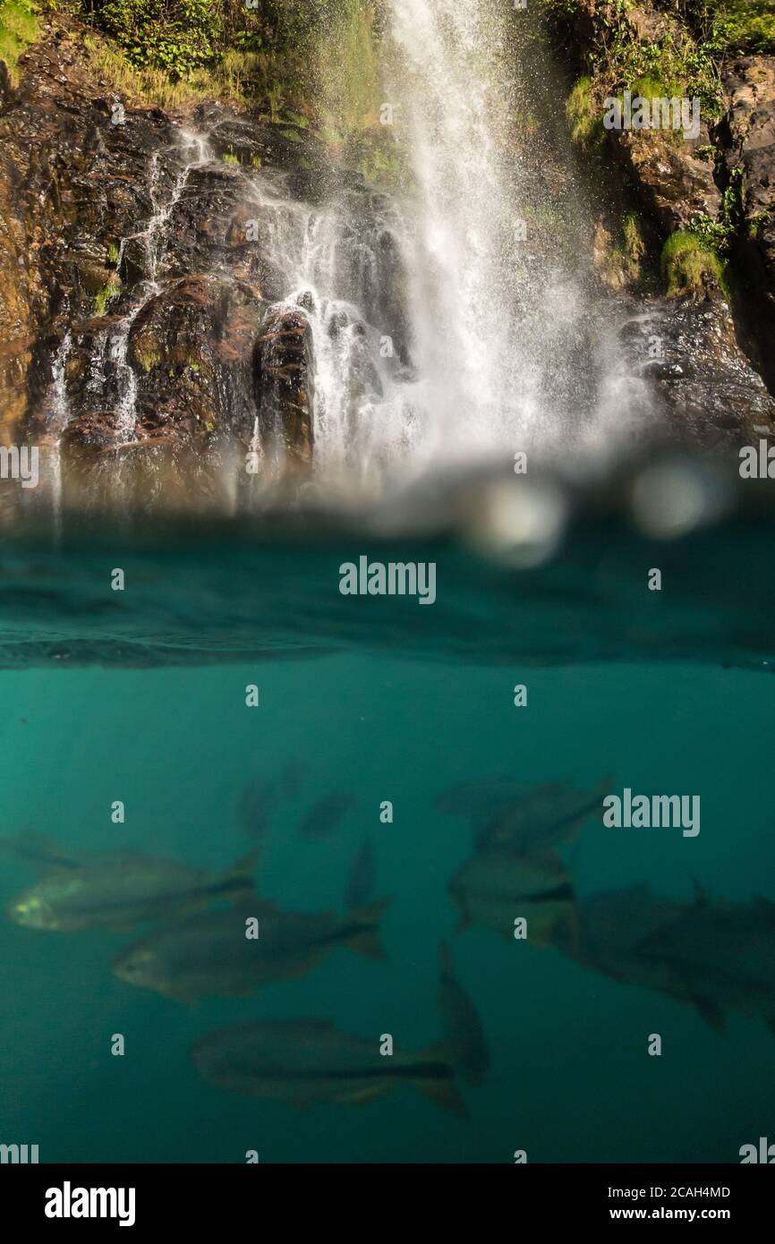 Serra Azul Waterfall - Nobres - Mato Grosso - Brazil Stock Photo - Alamy