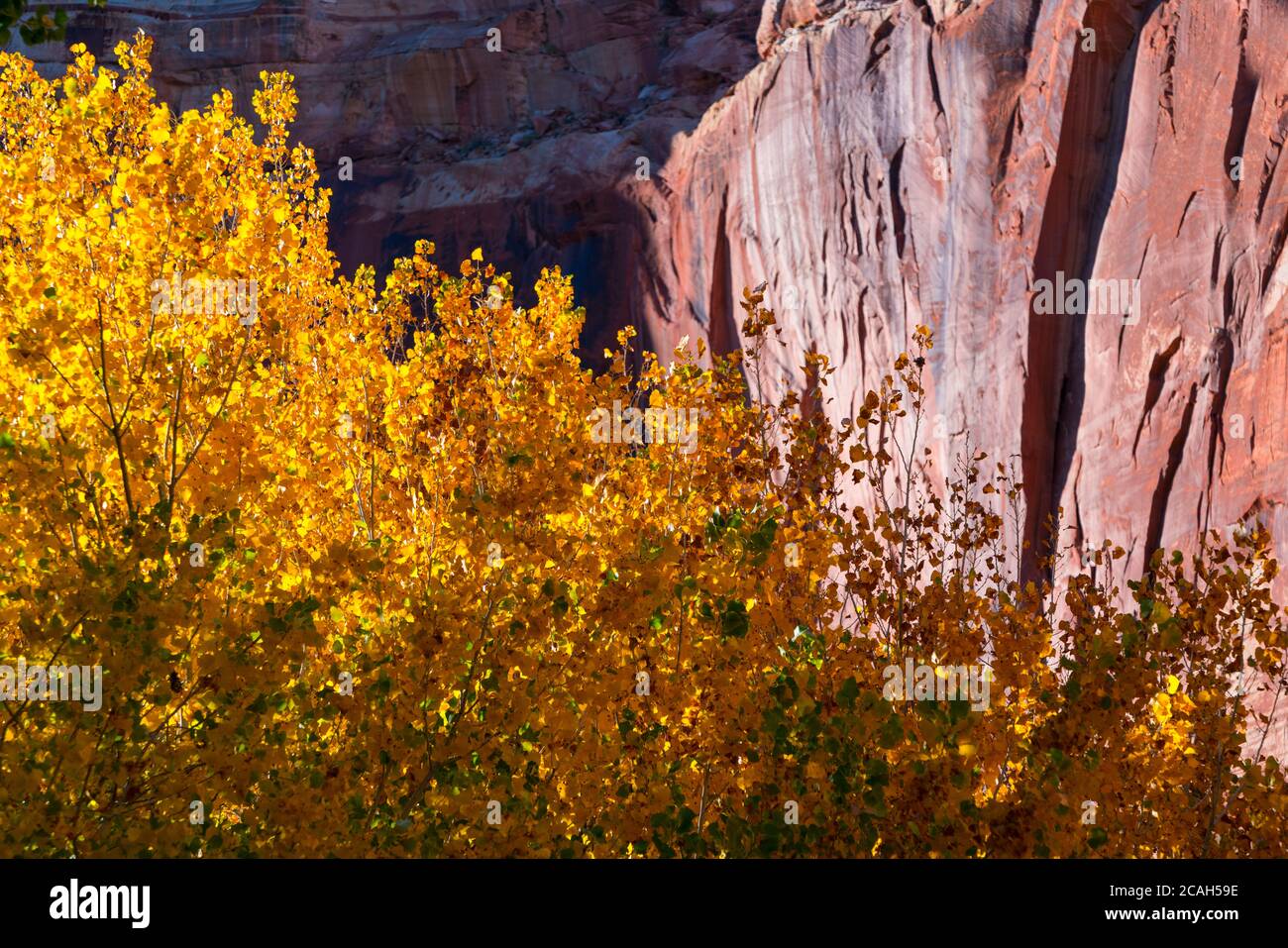 Capitol Reef National Park, Utah State Route 24, Utah, Usa, North ...