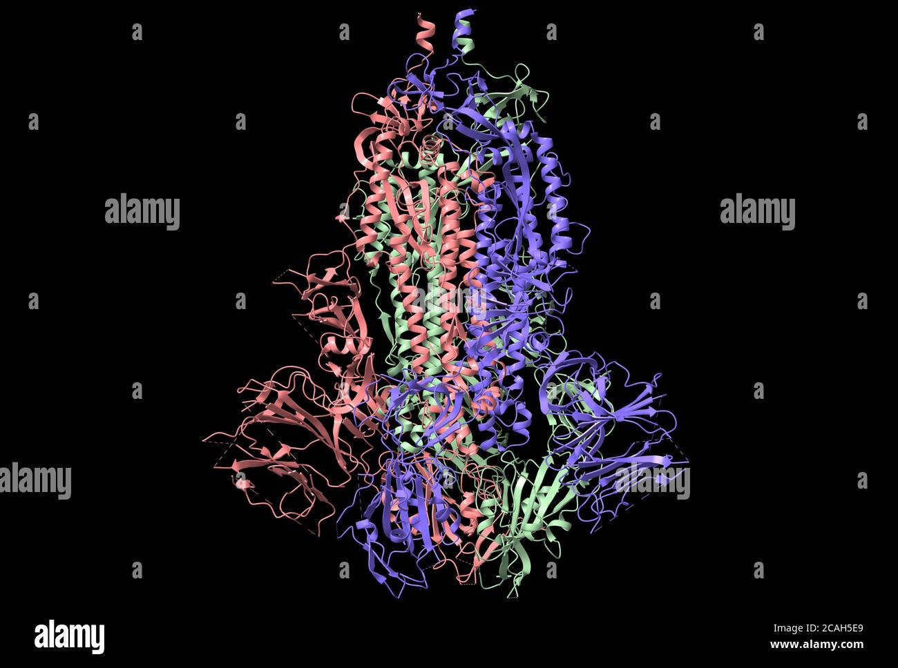 Structure of the SARS-CoV-2 spike glycoprotein, cartoon model, black ...