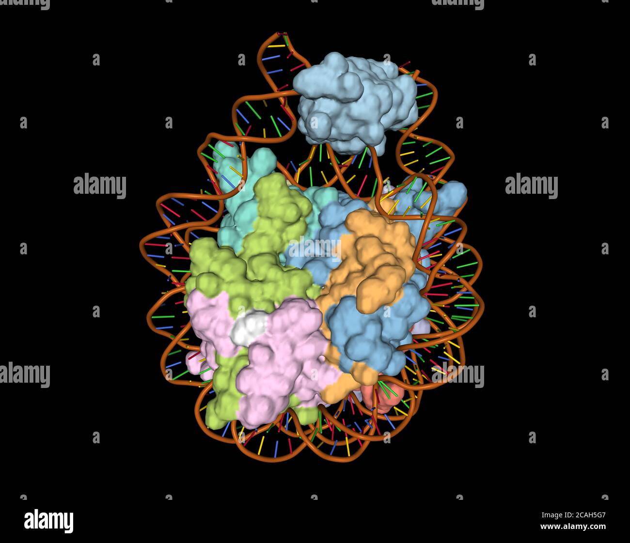 Histone Chemical Structure