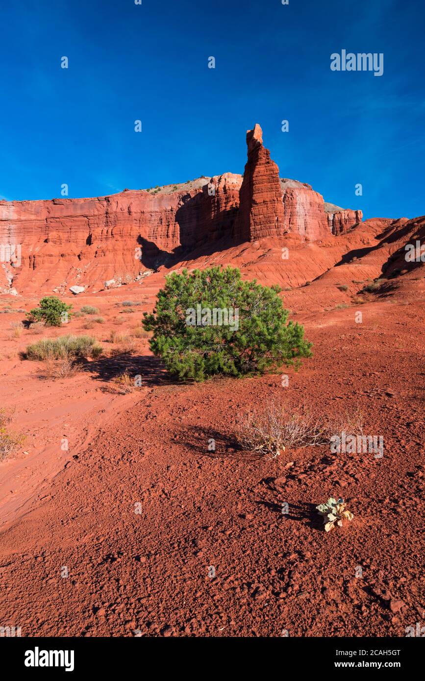 Capitol Reef National Park, Utah State Route 24, Utah, Usa, North ...