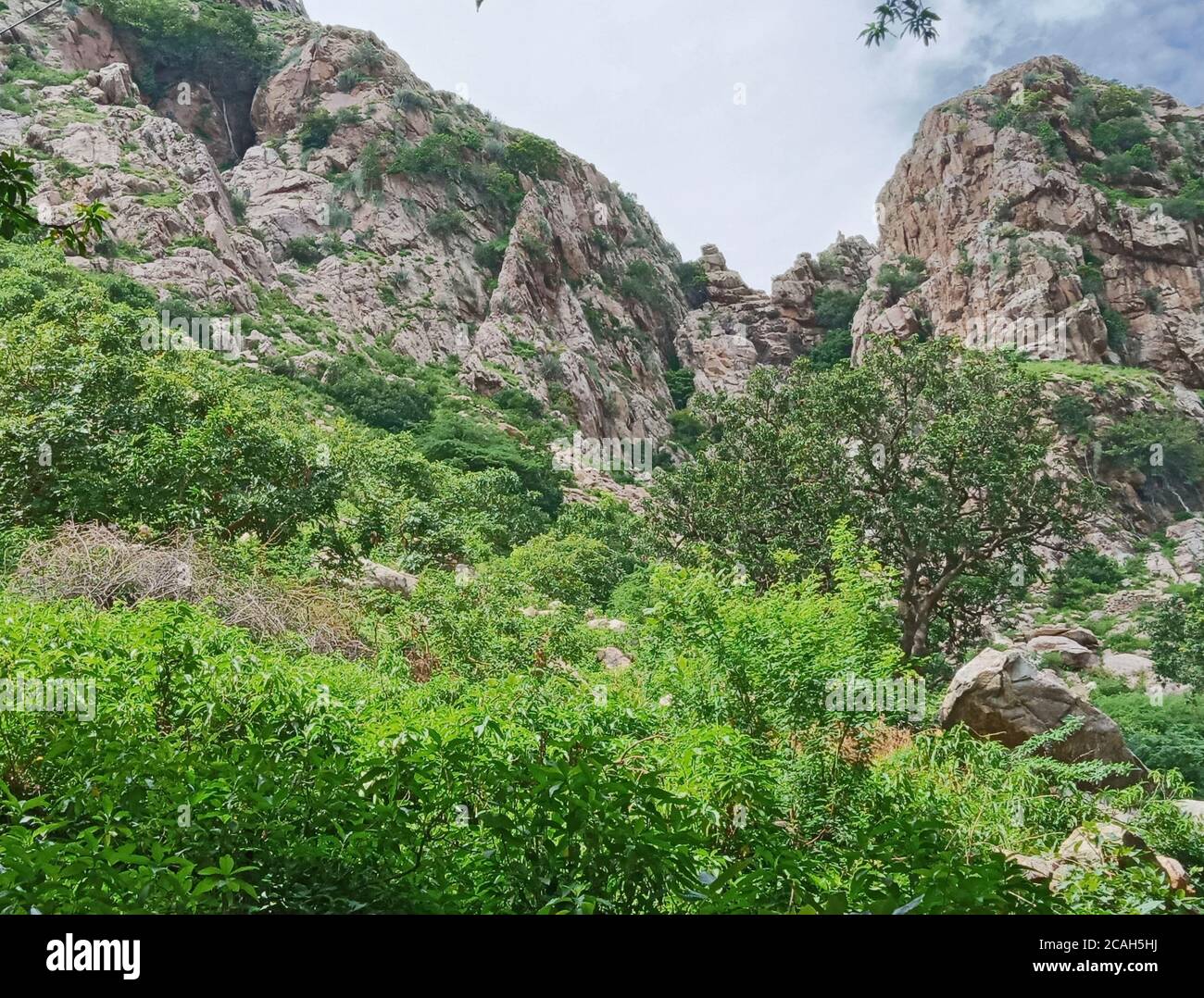 Beautiful background images hi-res stock photography and images - Alamy