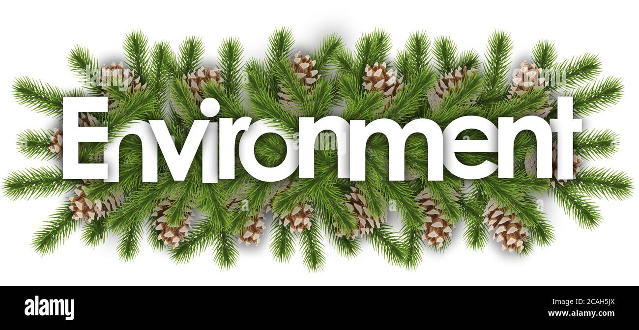 environment in christmas background - pine branchs Stock Photo - Alamy