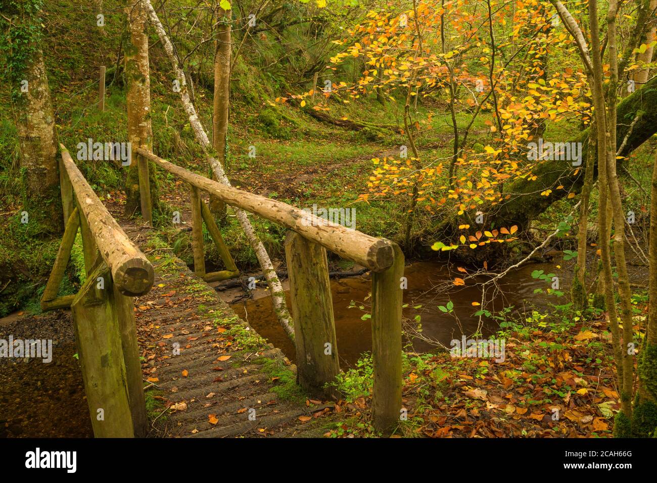 Footbridge over the Silver River on the Slieve Bloom Way, County Offaly ...