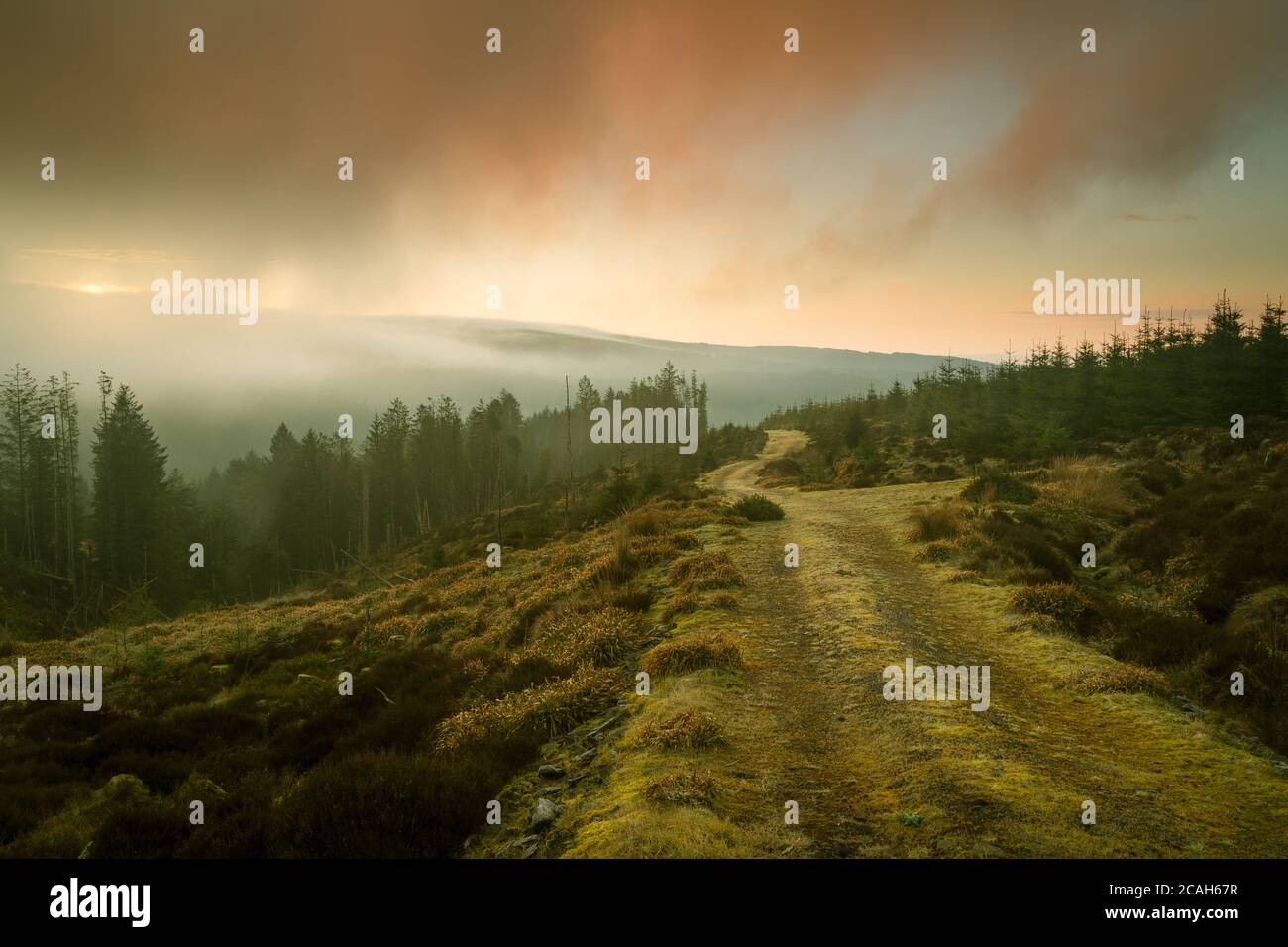 Mountains of slieve bloom hi-res stock photography and images - Alamy