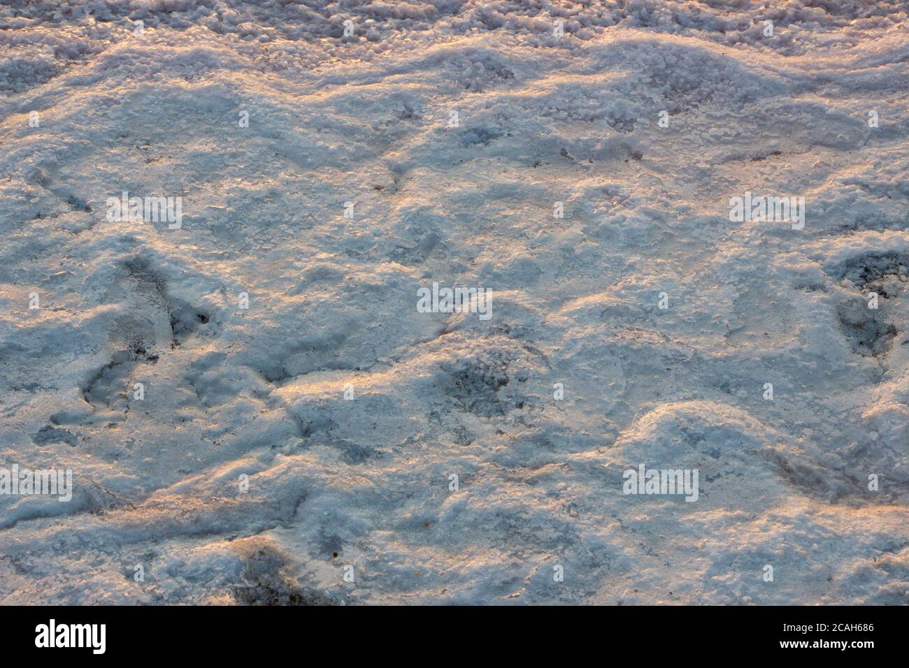 Salty sea coast. Sea salt salt farm. The shore is covered with salt ...
