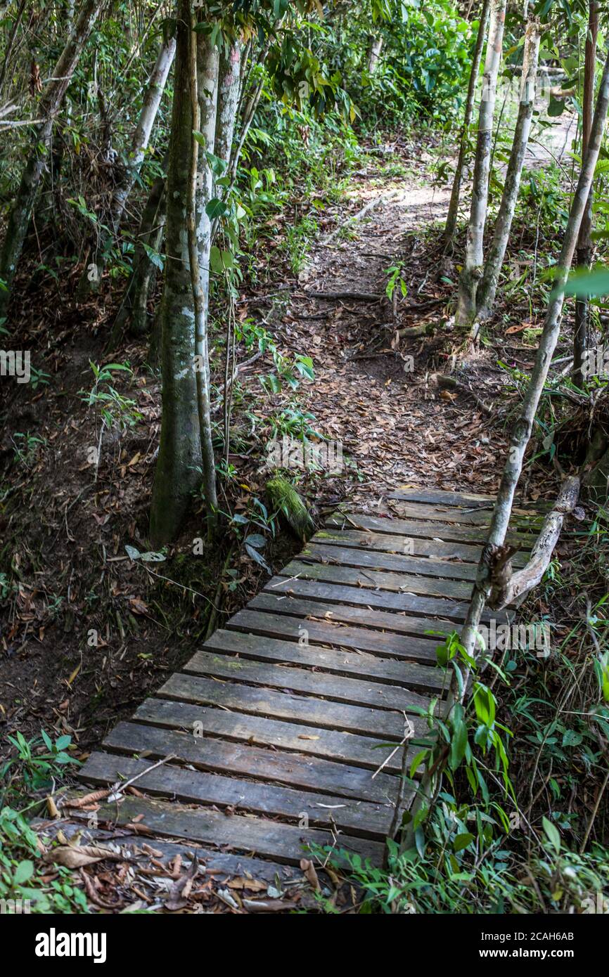 Wooden bridge over small river Stock Photo - Alamy