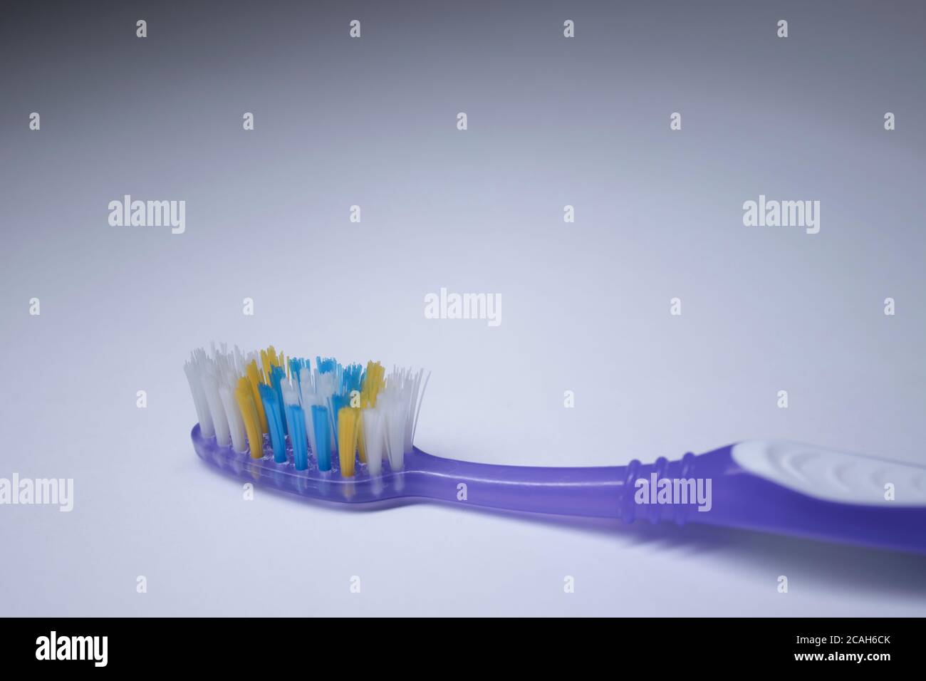 purple toothbrush on a white background. healthy and clean teeth ...