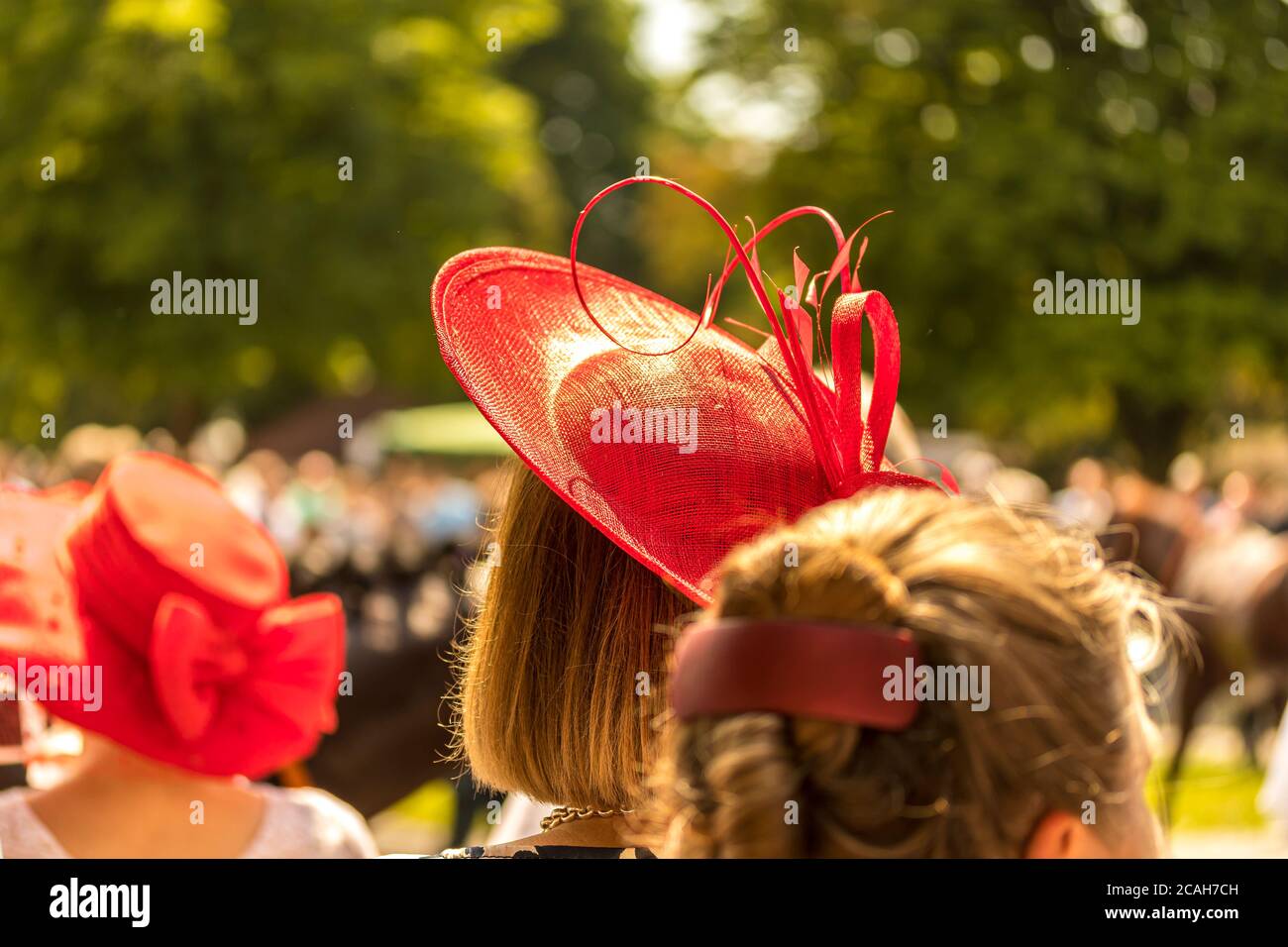 Humans horizontal hi-res stock photography and images - Alamy