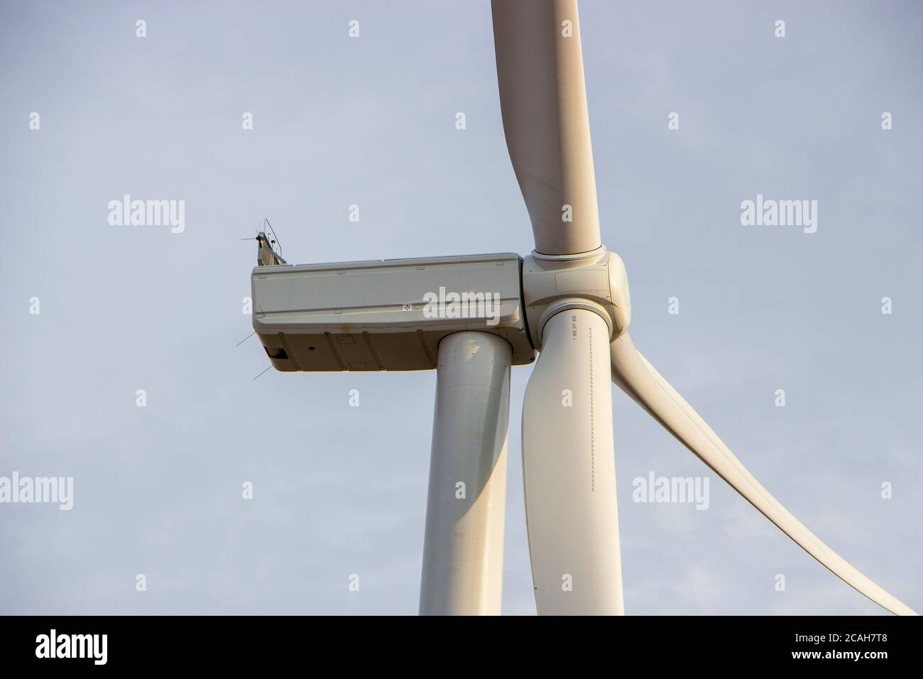 Wind turbine, windmill that produces electricity in an environmentally ...