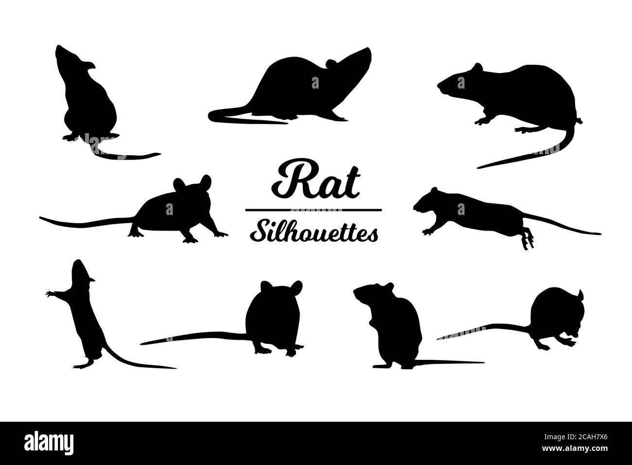 Rat animal silhouettes. Black and white outline Stock Photo - Alamy