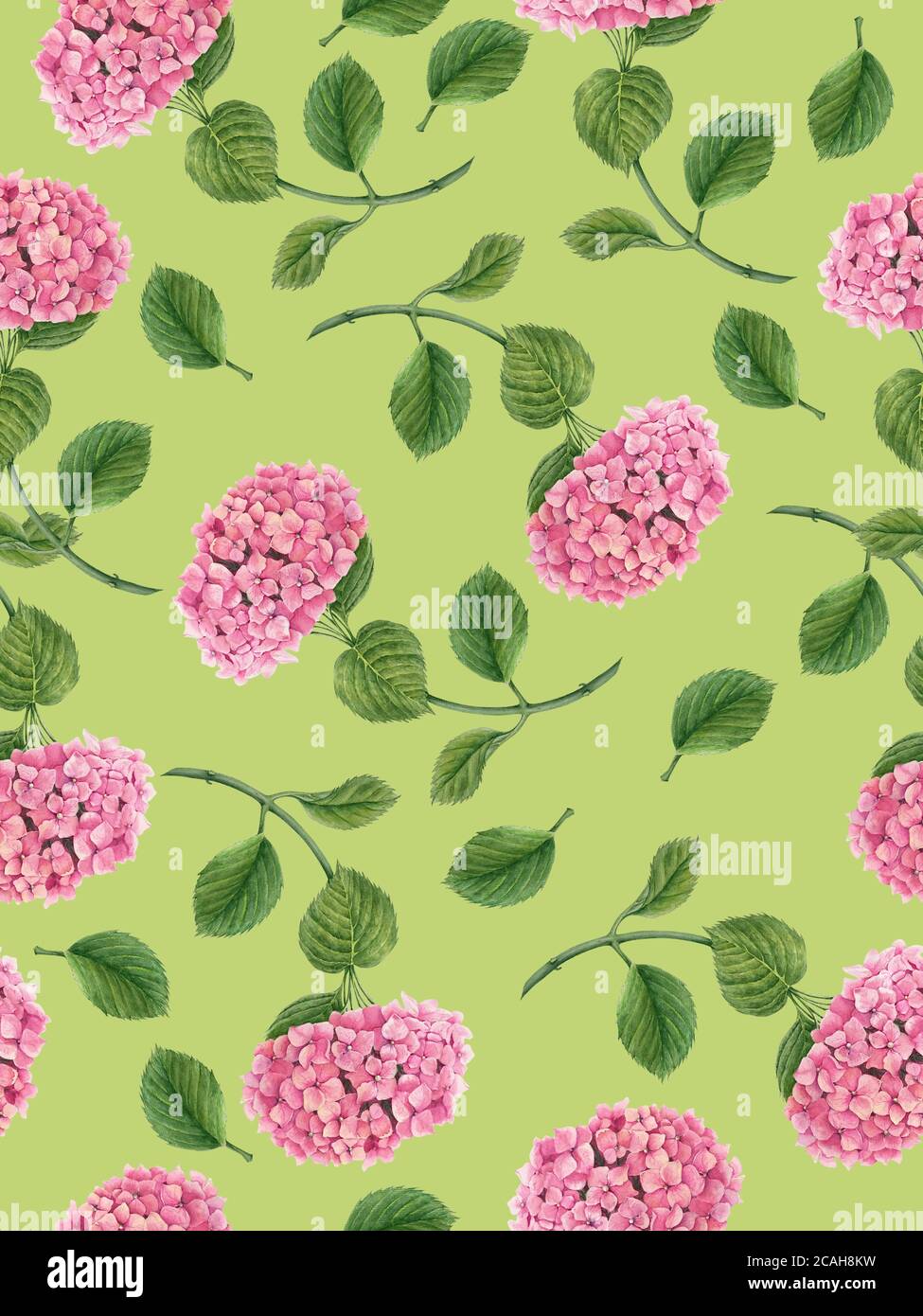 Seamless floral pattern with Hydrangea flower Stock Photo - Alamy