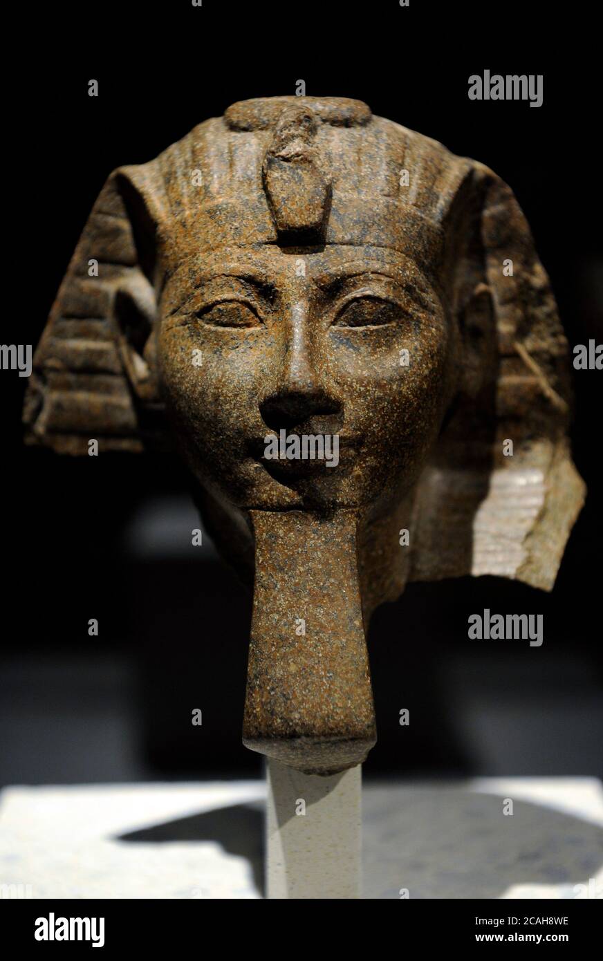 Thutmose Iii's Instagram, Twitter & Facebook on IDCrawl