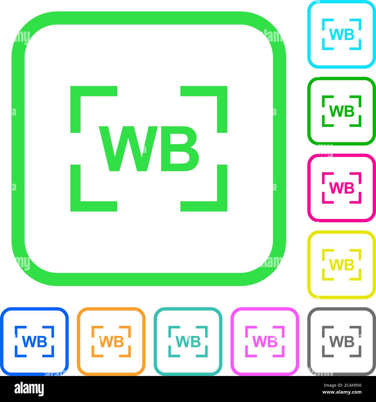 Camera white balance setting vivid colored flat icons in curved borders ...