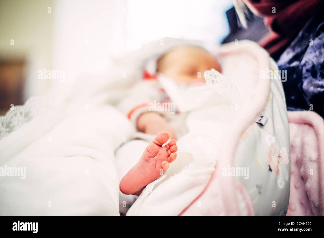 Baby birds view hi-res stock photography and images - Alamy
