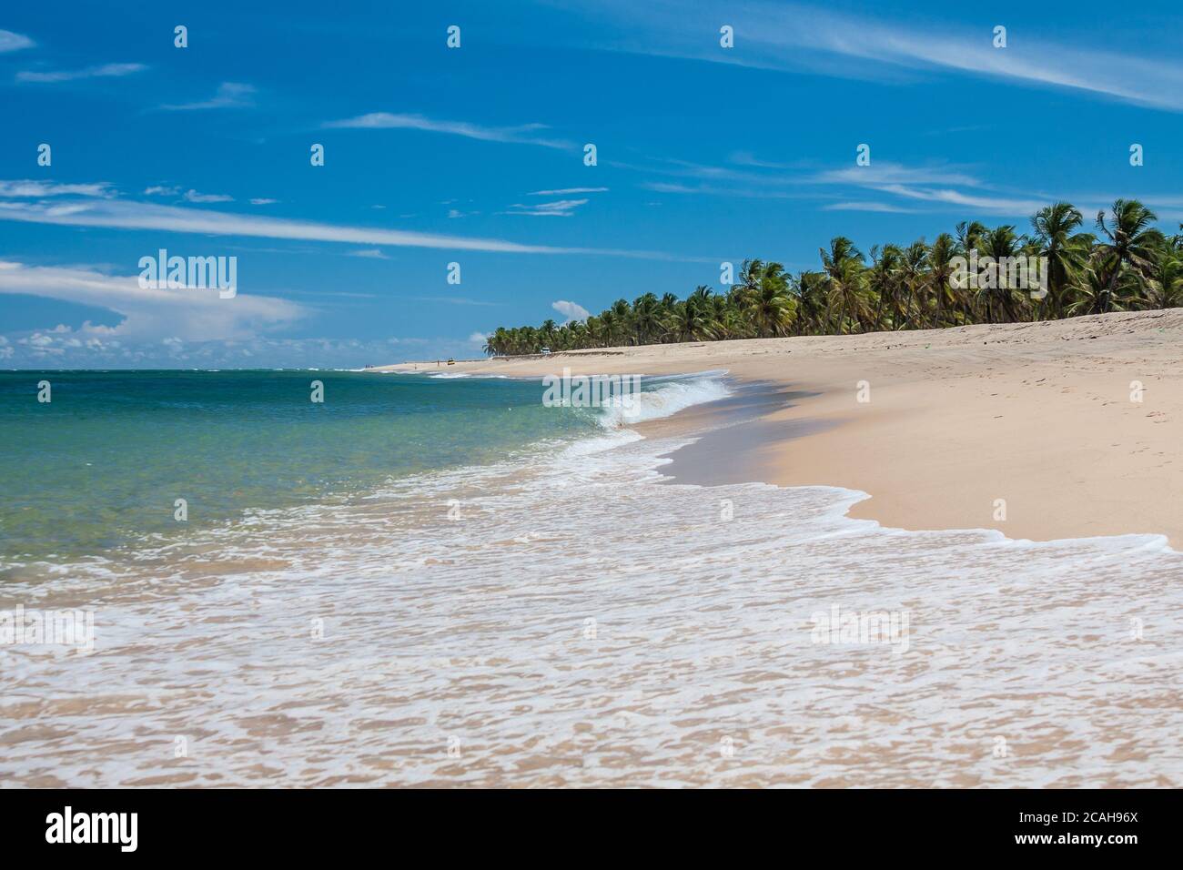 Gunga Beach - Alagoas - Maceio - Brazil Stock Photo - Alamy