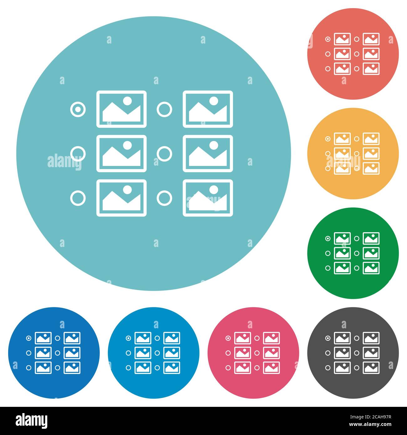 Single image selection with radio buttons flat white icons on round ...