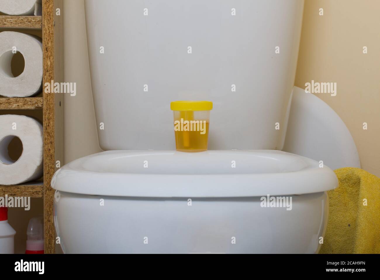 Urine in a container for analysis. Stands on the toilet seat ...