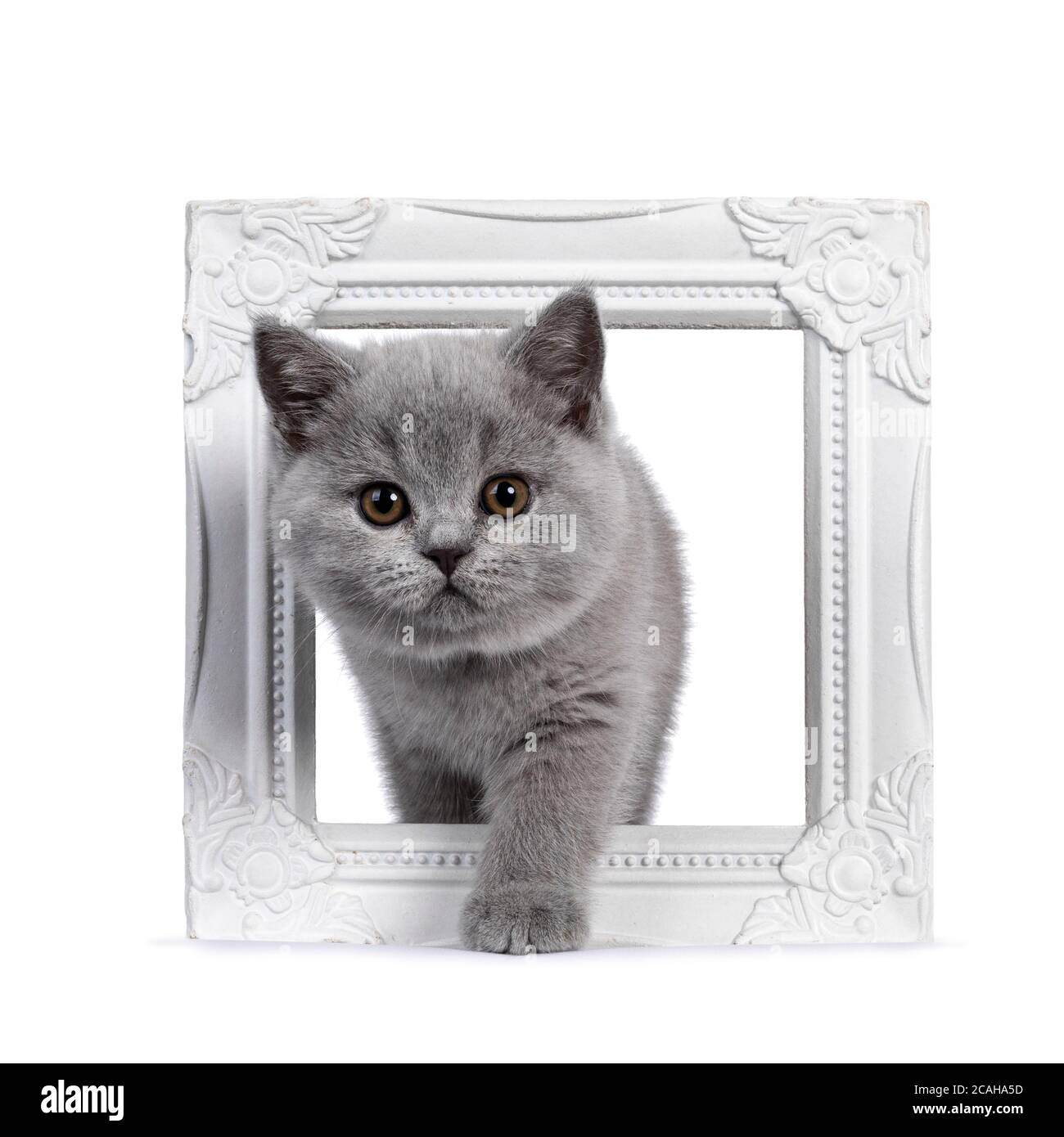 Stepping through frame hi-res stock photography and images - Alamy