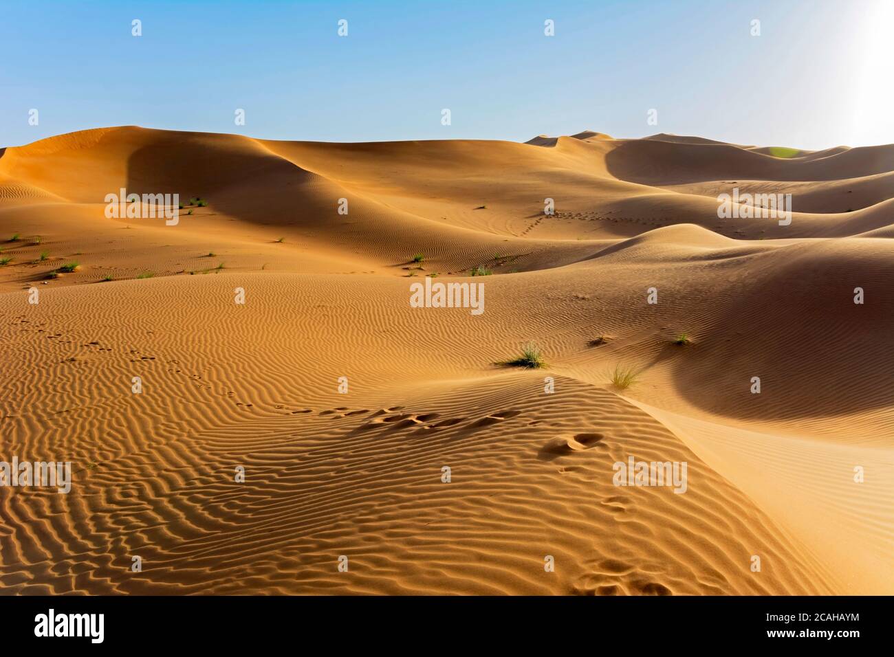 sand dunes in the desert of the Arb Emirates Stock Photo - Alamy