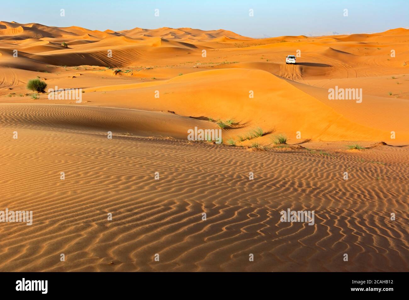 sand dunes in the desert of the Arb Emirates Stock Photo - Alamy