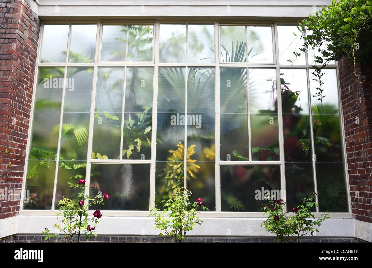 glass window botanical garden,auckland,new zealand Stock Photo - Alamy