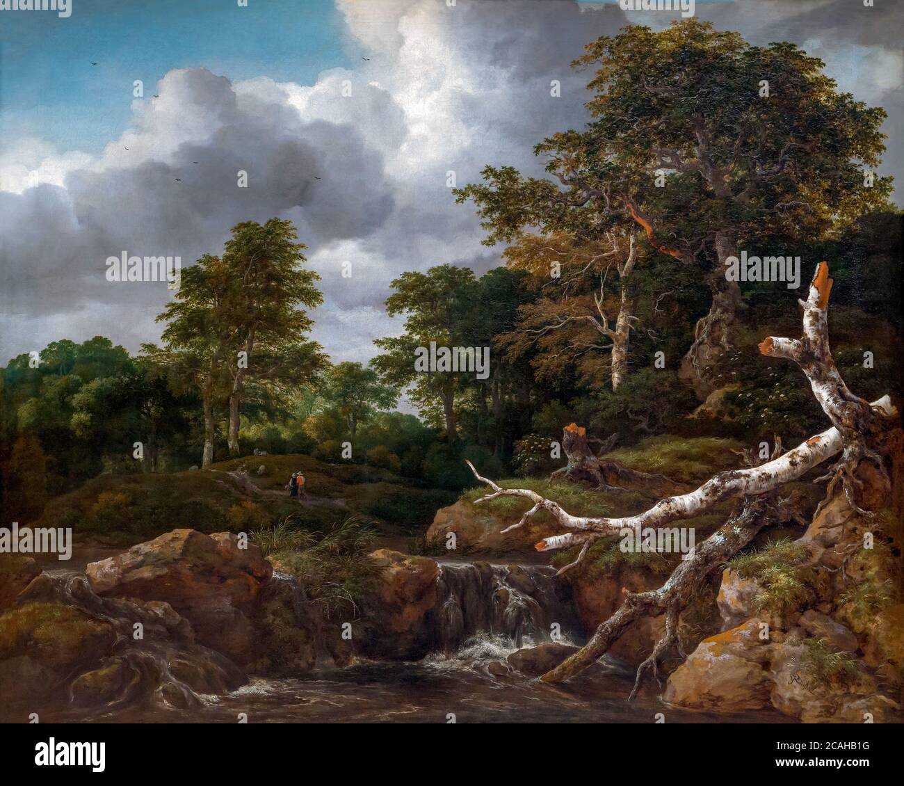 Forest Scene, Jacob van Ruisdael, circa 1655, National Gallery of Art ...