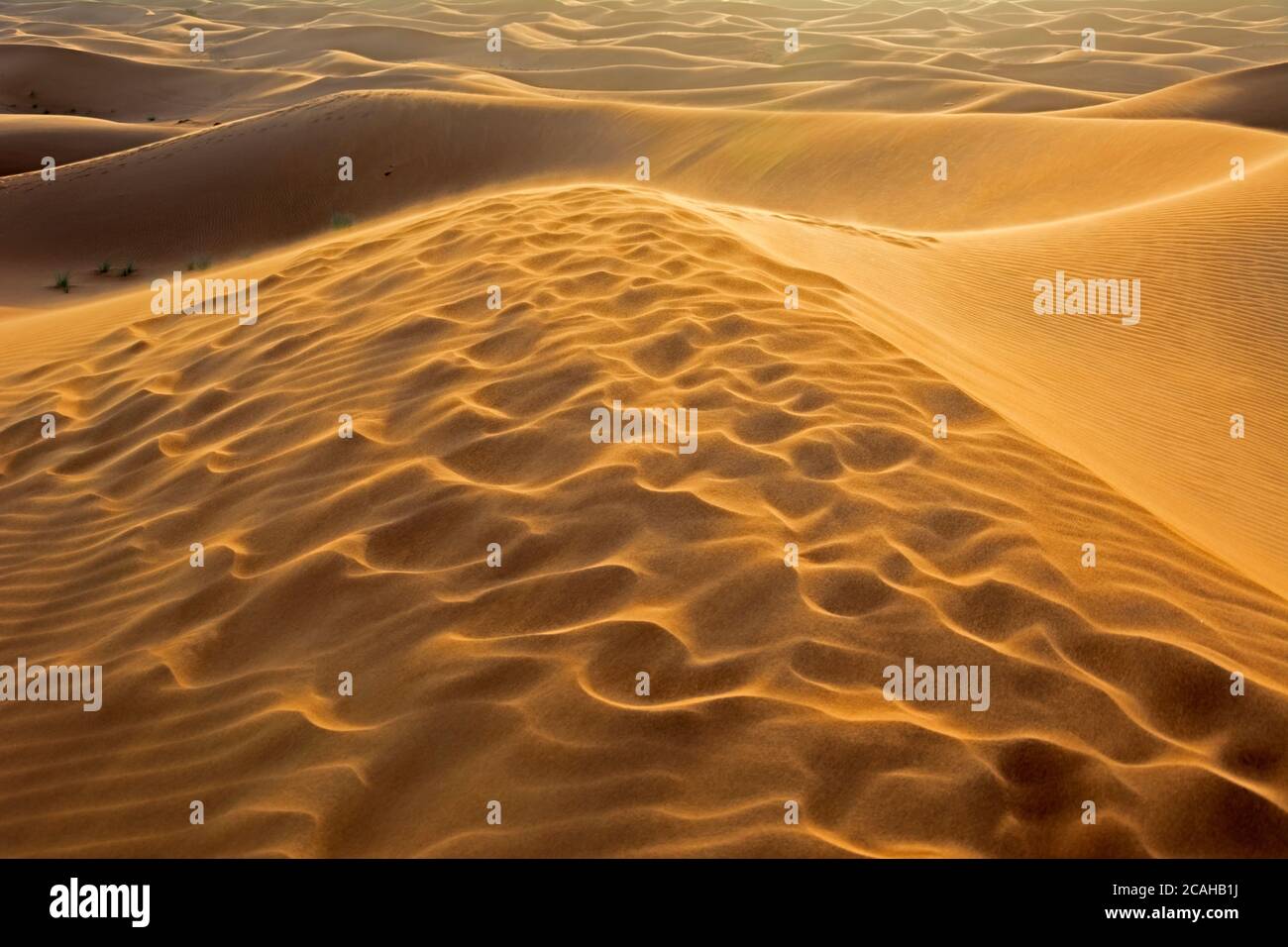 sand dunes in the desert of the Arb Emirates Stock Photo - Alamy