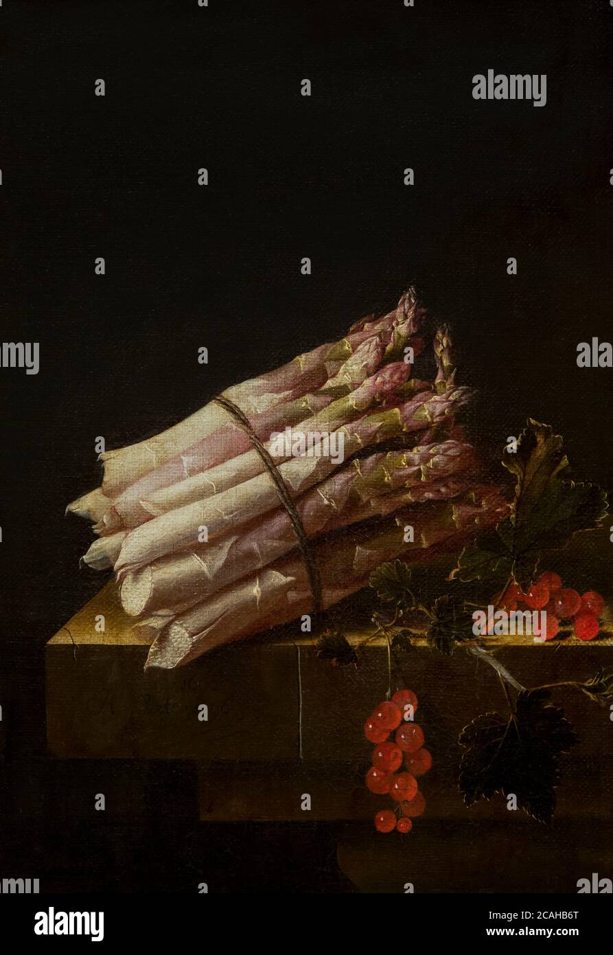 Adriaen coorte hi-res stock photography and images - Alamy
