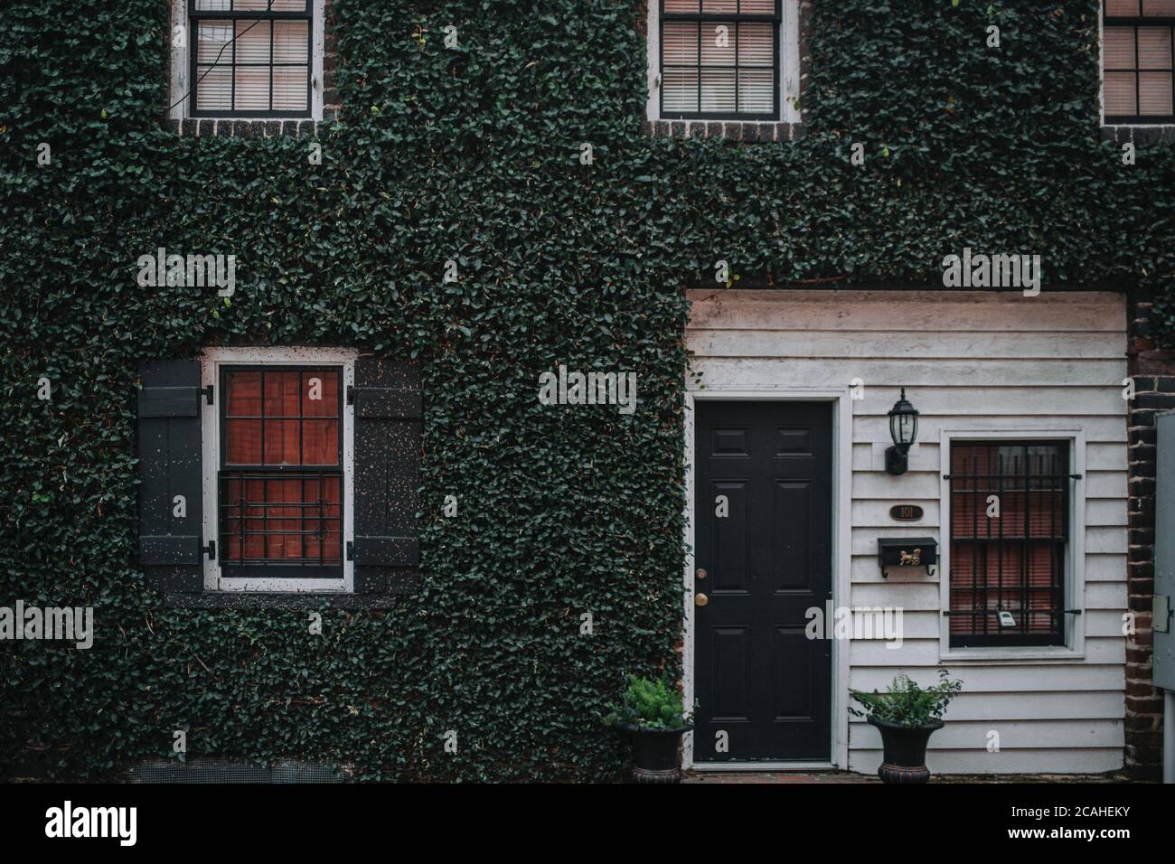 Ivy Growing Around Window High Resolution Stock Photography and Images ...