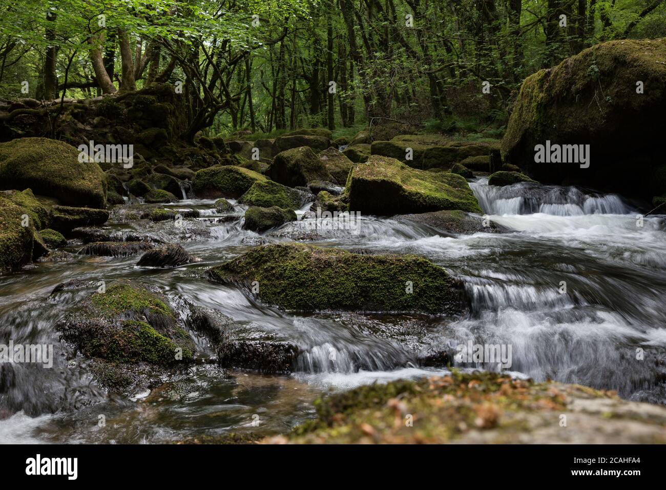 Golitha Falls cascades of River Fowey in Cornwall, UK Stock Photo - Alamy