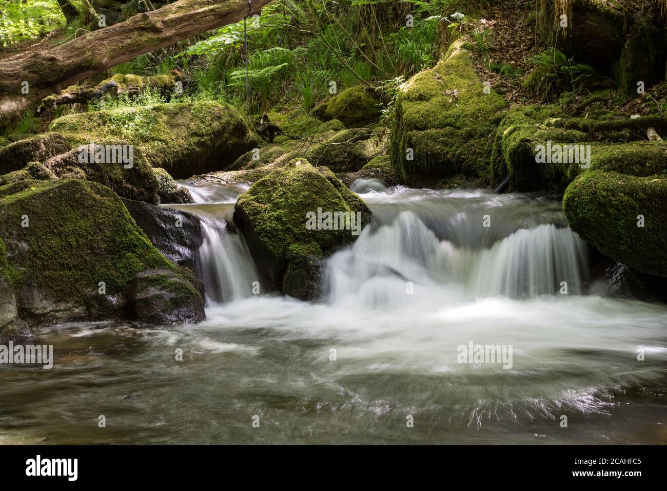 Golitha Falls cascades of River Fowey in Cornwall, UK Stock Photo - Alamy