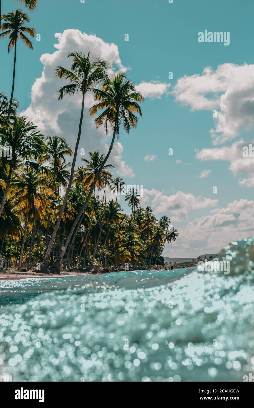 Vertical shot beautiful sandy beach hi-res stock photography and images ...