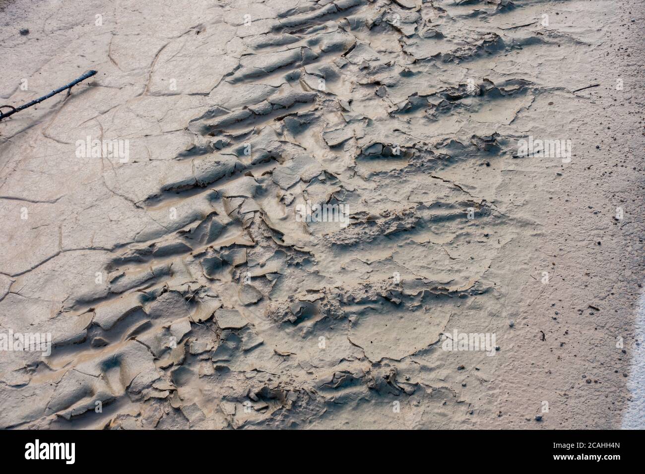 dried mud pattern Stock Photo - Alamy
