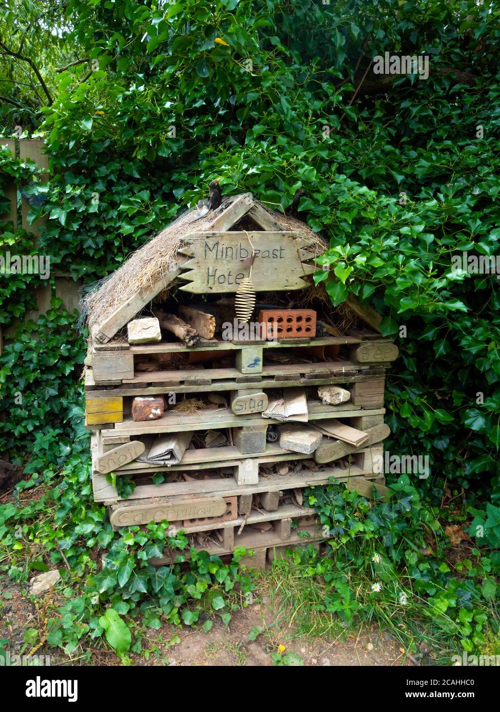 Bug house hi-res stock photography and images - Alamy