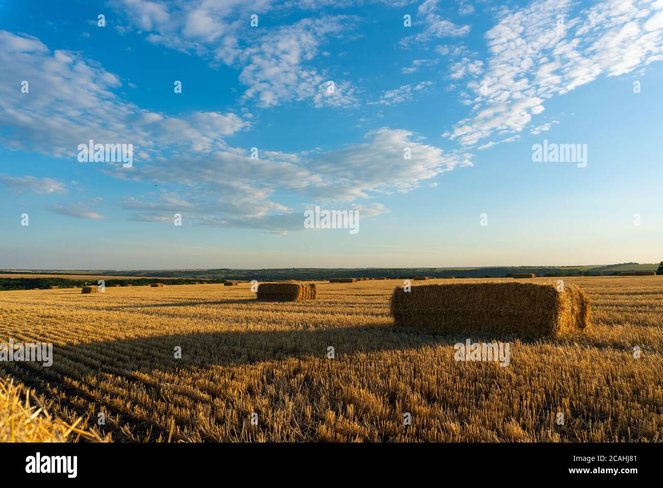 Beautiful farmland landscape wheat field hi-res stock photography and ...