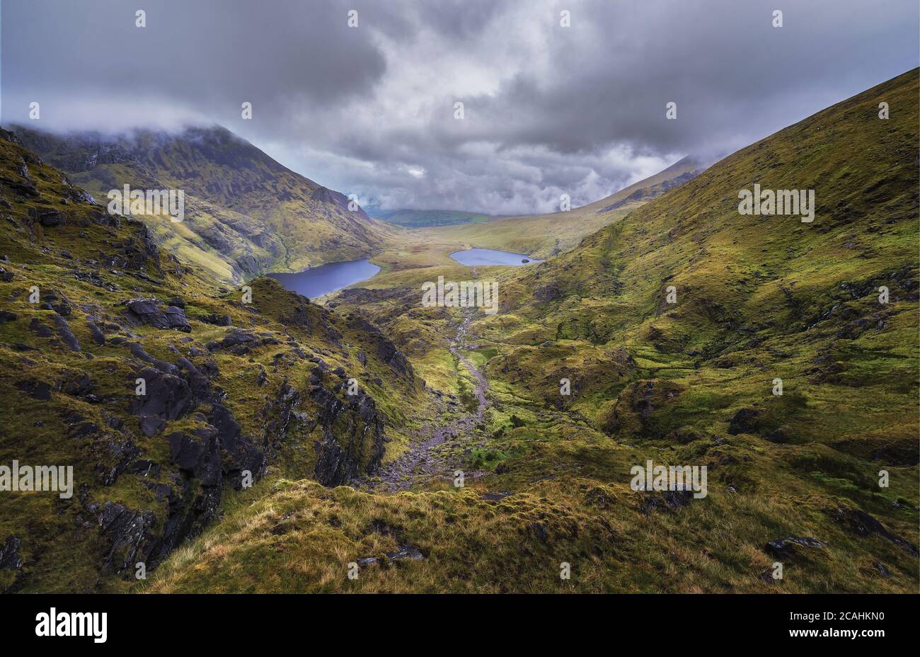 Devils ladder hi-res stock photography and images - Alamy