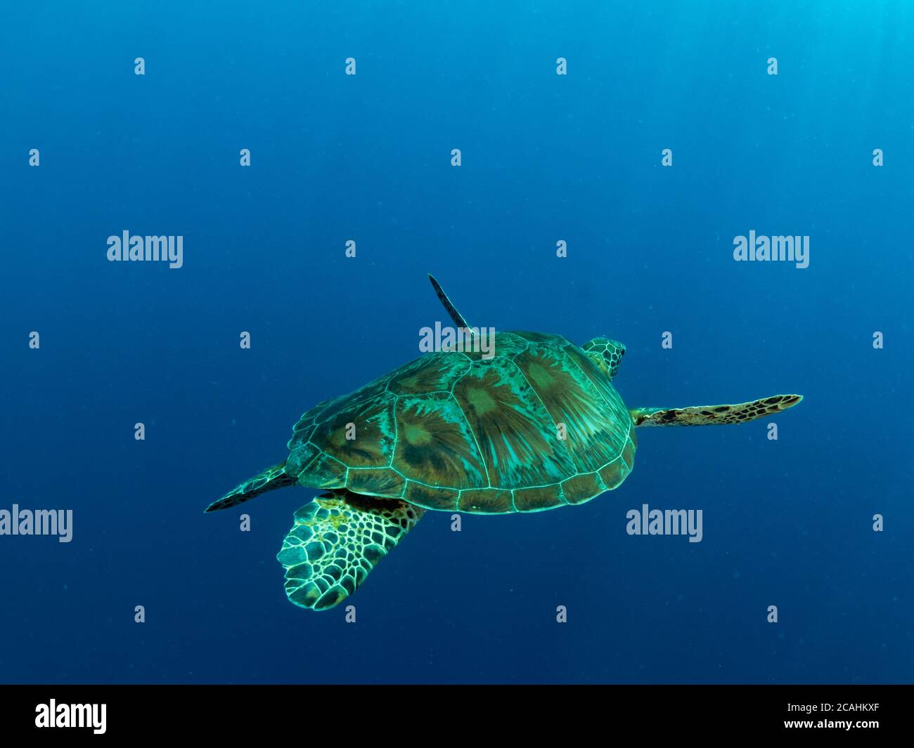 Philippines and bonaire hi-res stock photography and images - Alamy