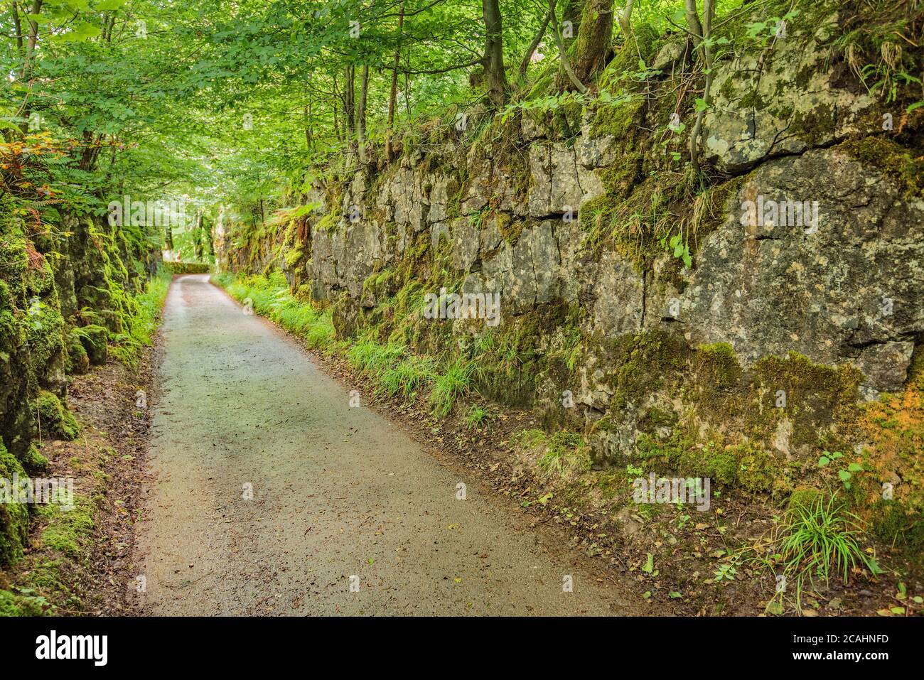Field Study Centre access road Malham Stock Photo - Alamy