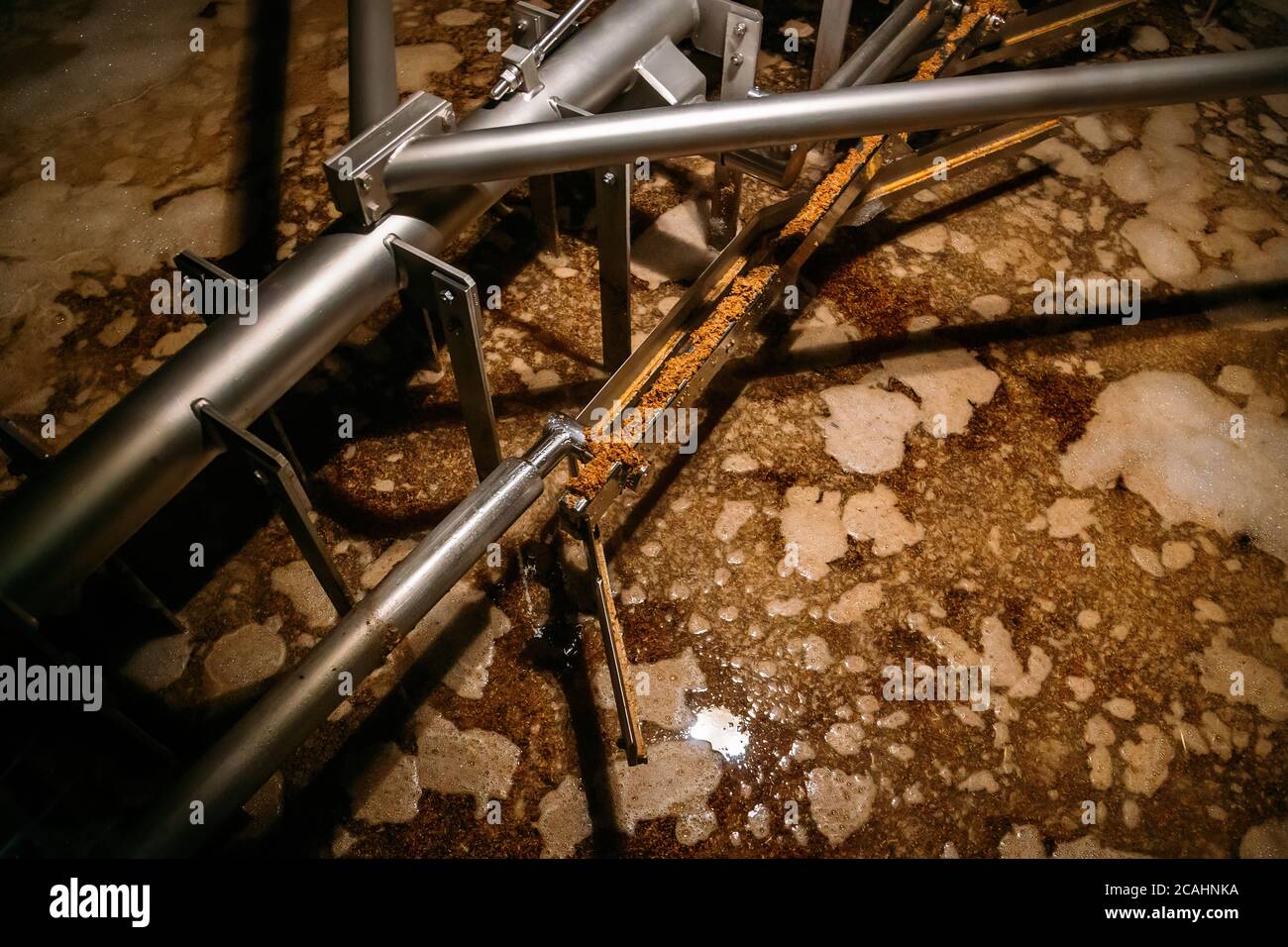 Brewing process. Fermentation and filtration of beer inside the vat ...