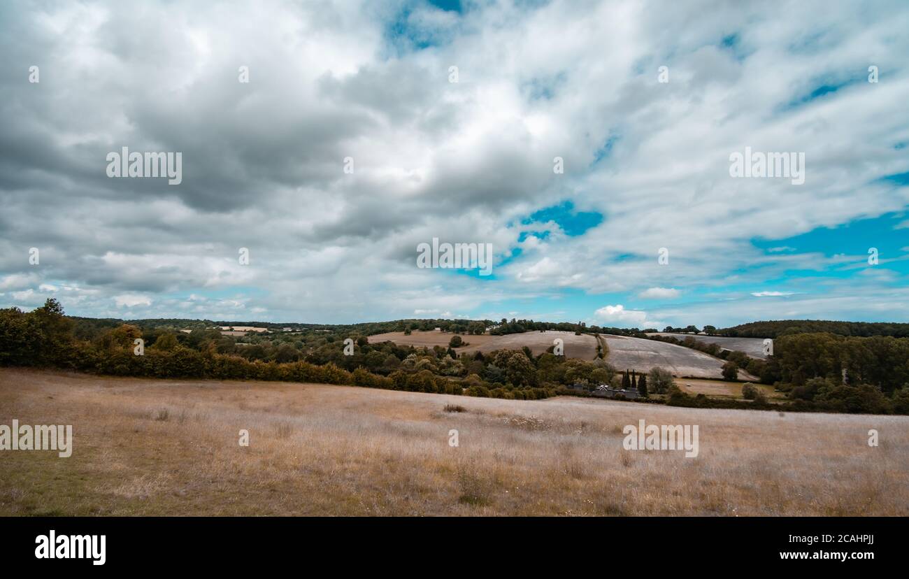 Surrey hills summer and walk hi-res stock photography and images - Alamy