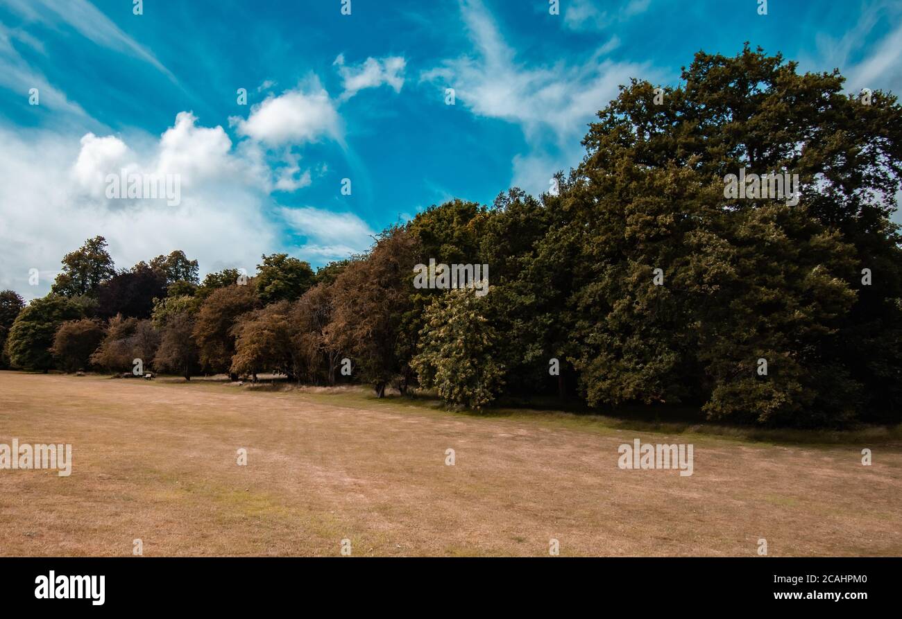 Surrey hills summer and walk hi-res stock photography and images - Alamy