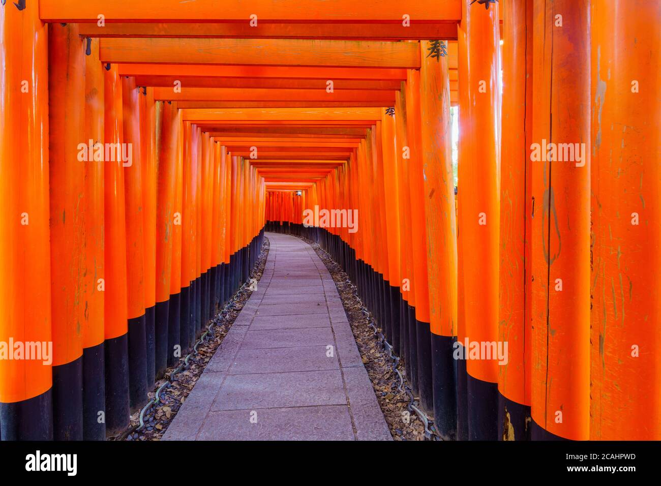 View of a path of Torii gates, up the Inari mountain, in Kyoto, Japan ...