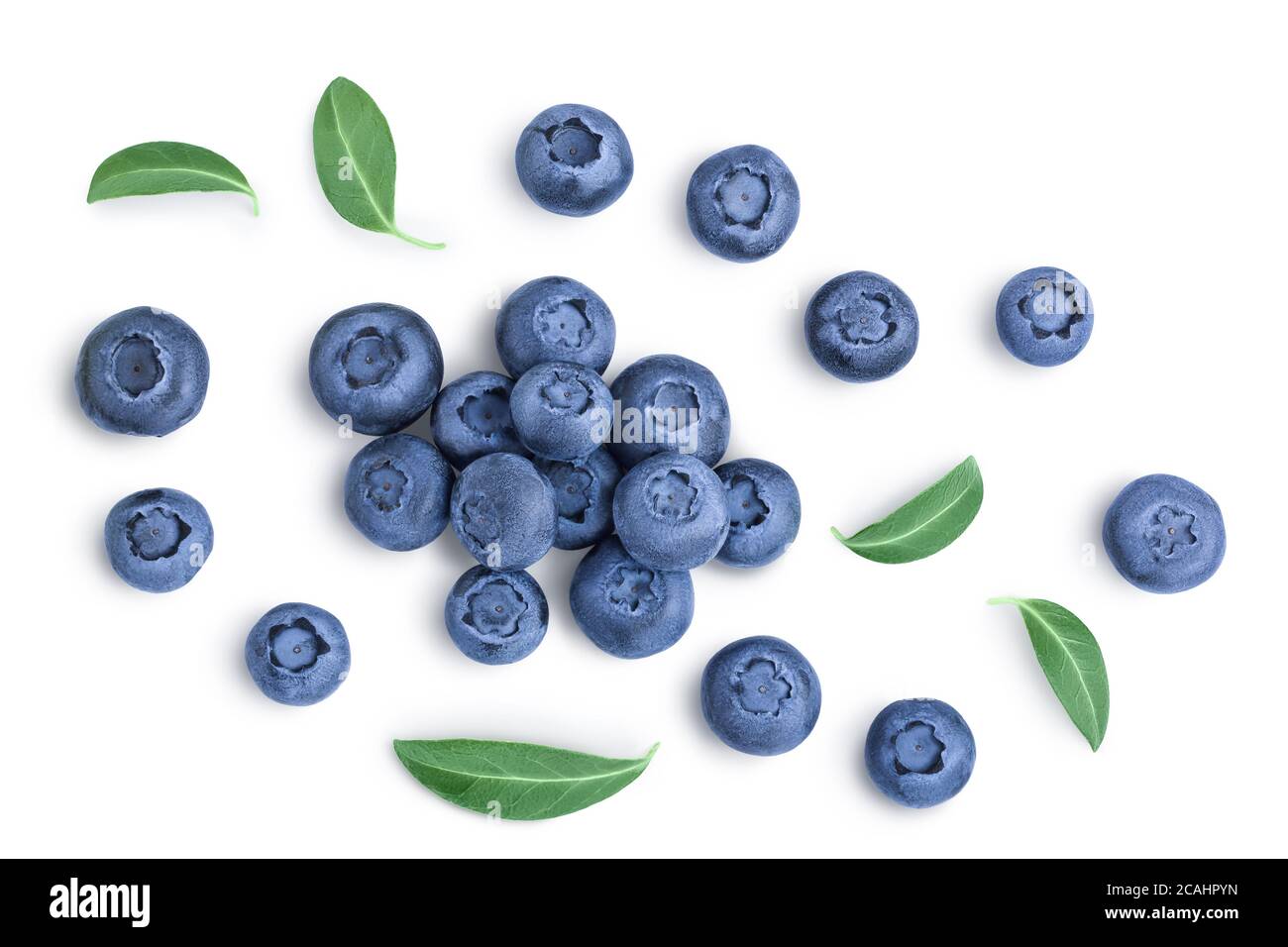fresh ripe blueberry with leaves isolated on white background with ...