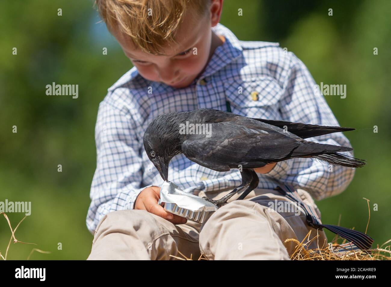 Child with a bird hi-res stock photography and images - Alamy