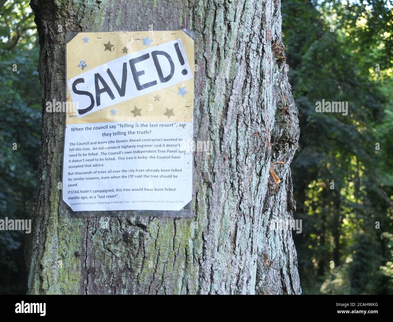 A saved sign on a mature lime tree on Rivelin Valley Road in Sheffield ...